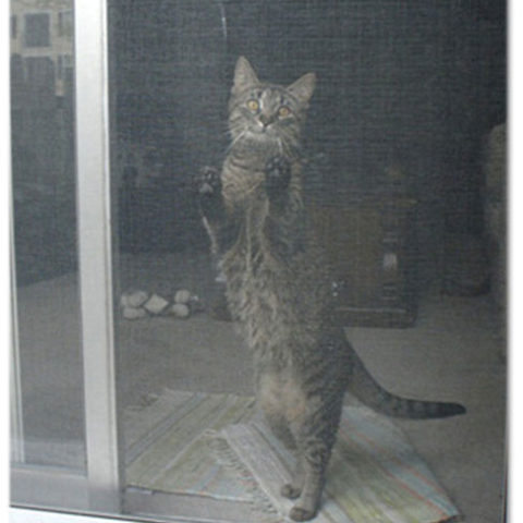 Pet-Resistant Window Screens - A to Z Window Screens